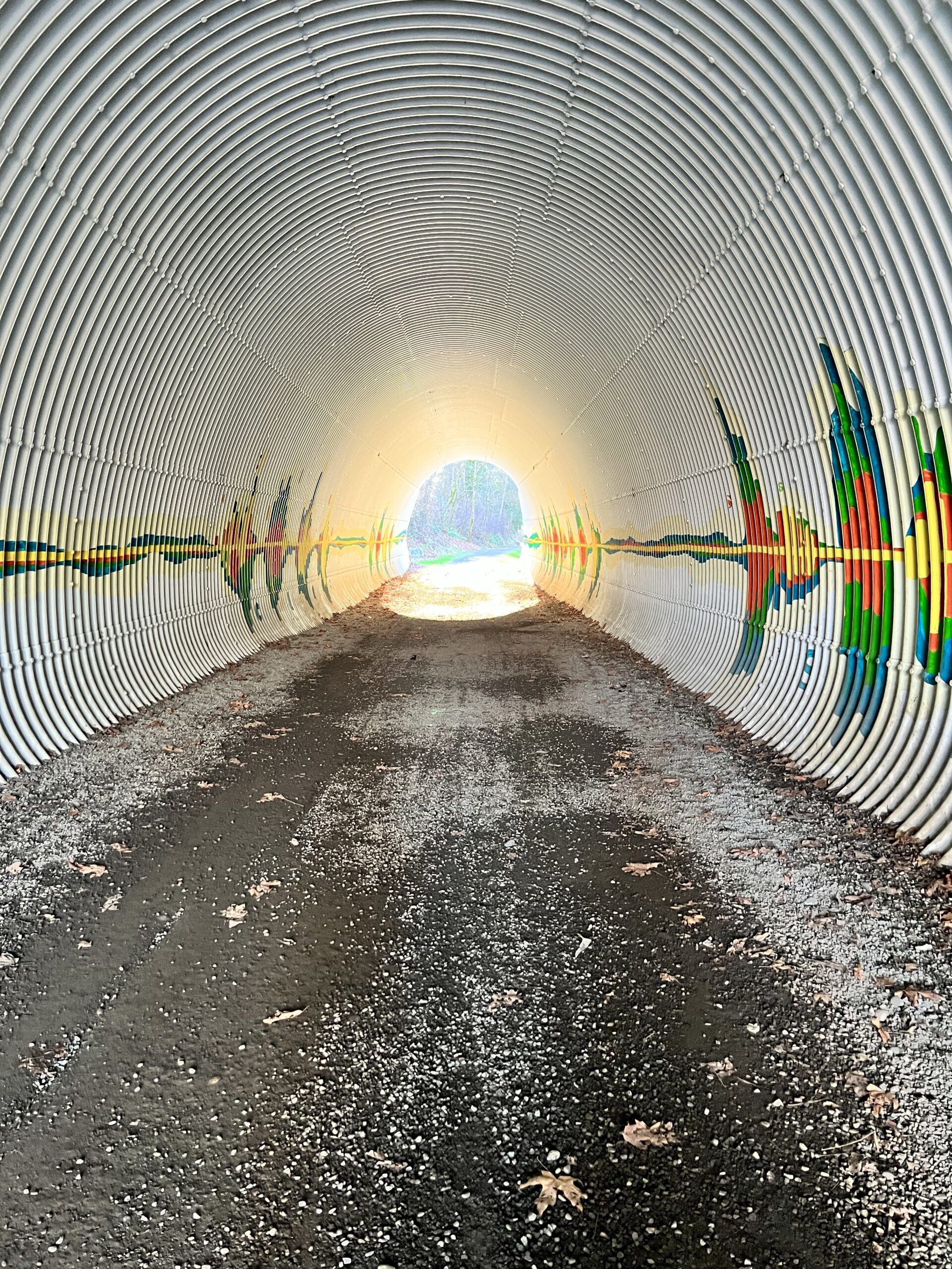 Client Portal | A New Path Therapy